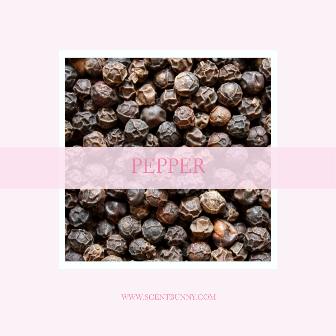 What Does Pepper Smell Like? Spicy, Vibrant & Bold Notes – Scent Bunny