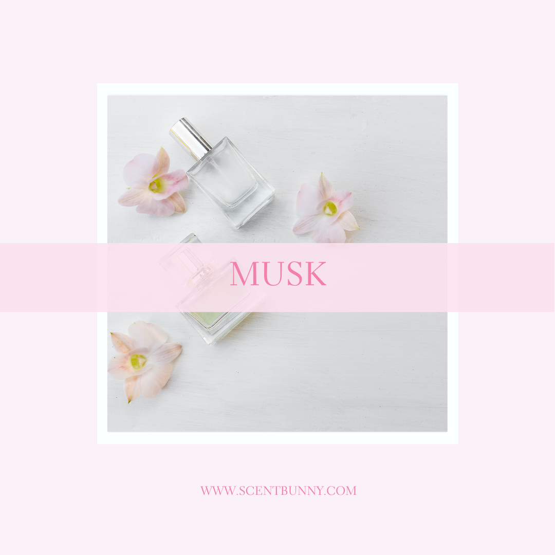 What Does Musk Smell Like? | Discover the Sensual Fragrance – Scent Bunny