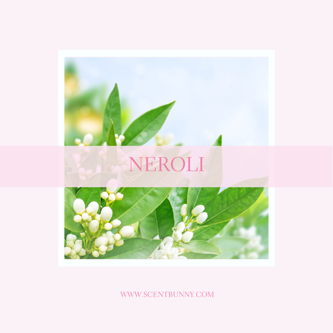 Neroli Fragrance Notes Collection – Scent Bunny